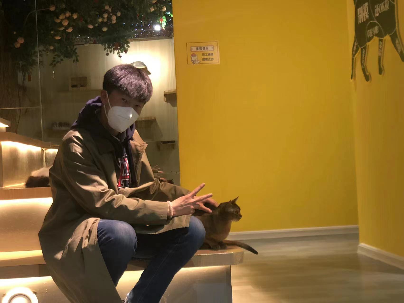 CV - Your Name / Site Title